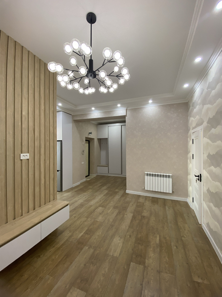 Новостройка Паркентский