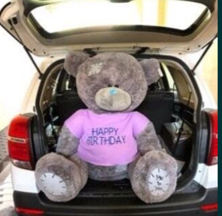 Teddy Teddi Teddiy OPTOM NARX