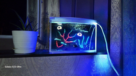 Akvarium 3 dona baliq bilan sotiladi