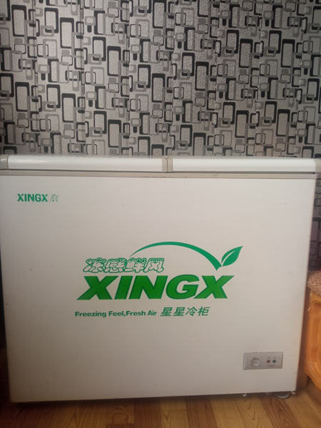 Muzlatgich XINGX