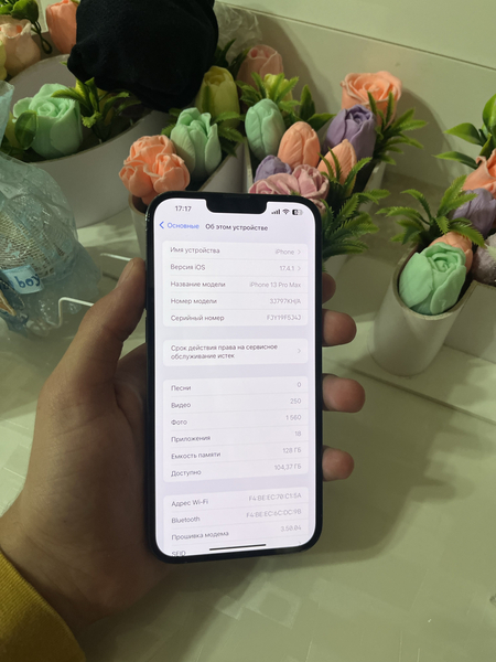 iPhone 13 Pro Max