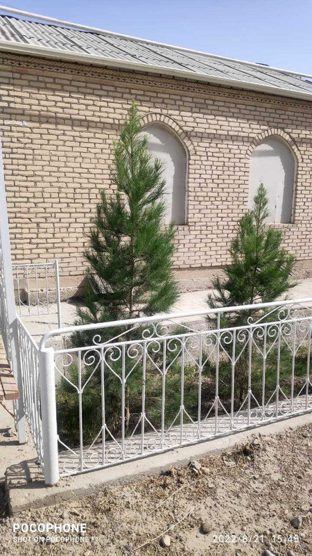 Участка сотилади.15 соток. манзил Бухоро тумани. Талалиен кишлоги.