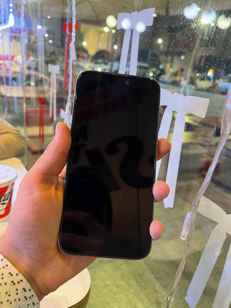 Iphone 14 pro max srochna