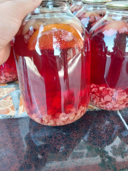 Kampotlar va murabbolar