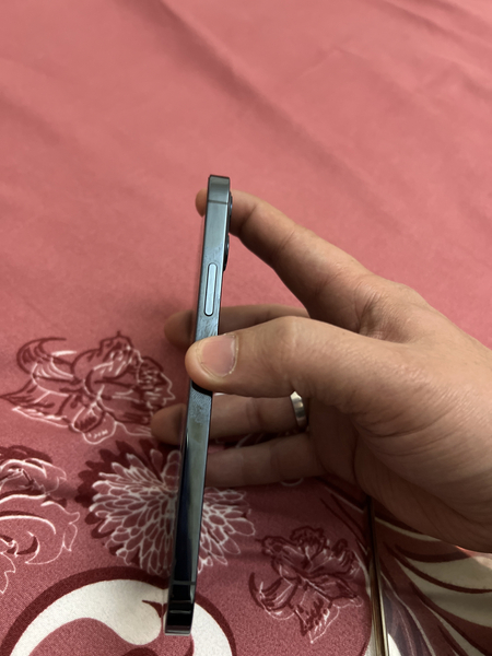 Iphone 12 pro dual
