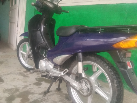 Dailem motor spo