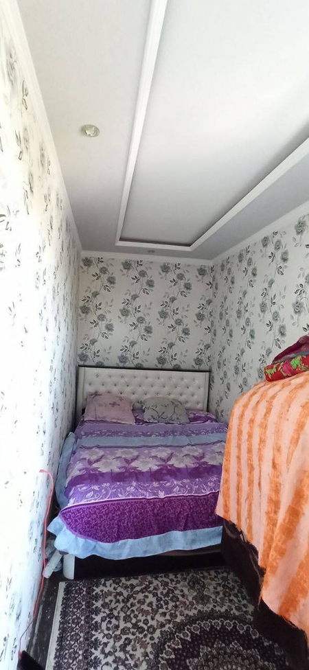 Ijaraga beriladi qora qamish tansiqboy 2