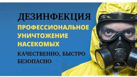 Dezinfeksiya klapa tarakan dezenfeksiya Дезинфекция дезинсекция