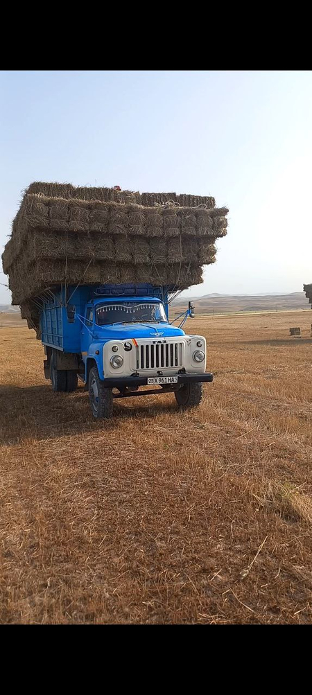 Sotiladi  danlida yuribdi xechqanaqa aybi yoq naxtga sotladi