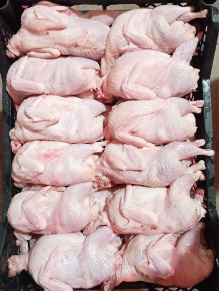 Принимаем заказы на свежее перепелиное мясо!