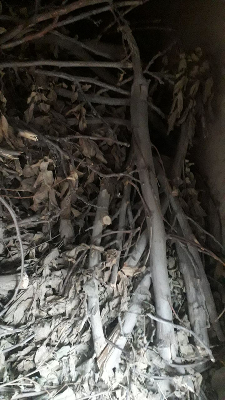 Утун хезум O'tun Xezum sotiladi