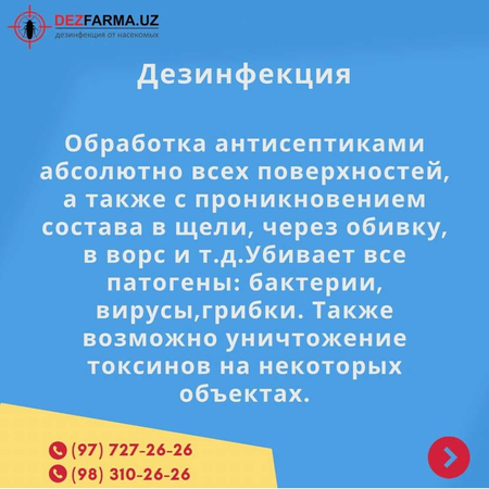 Дезинфекция уничтожение клопов дизинфекция Dezinfeksiya klapa
