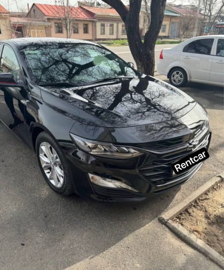 Rent car uzb boylab 24/7 arenda suxoy kunli