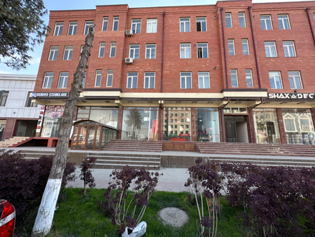 Подвални помишени