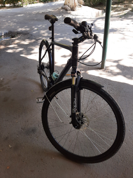 Payg'ambar velosipedi - Prophete