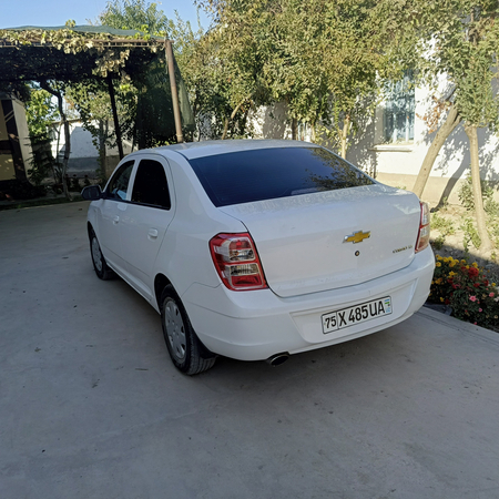 Kobalt mexanika 2019 yil
