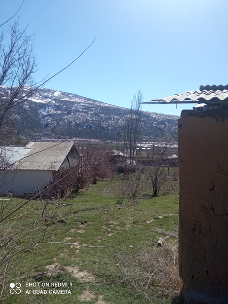 Бостанликское район
