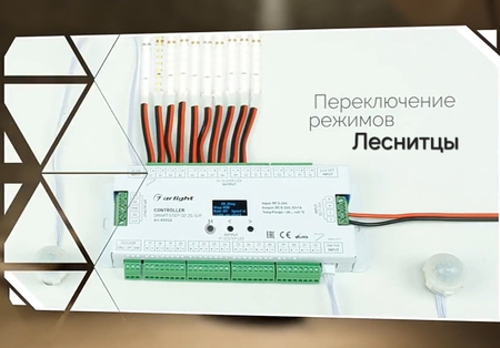 Бредовые Освещение чудо леснитцы