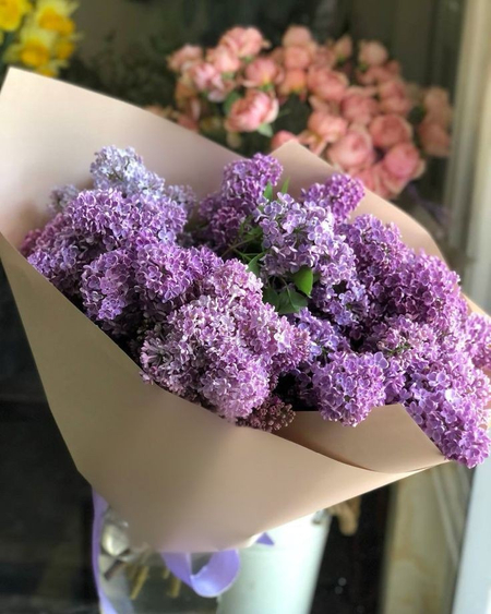Купить свежую Сирень