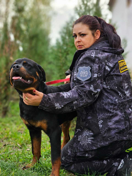 Кинолог. Дрессировка собак