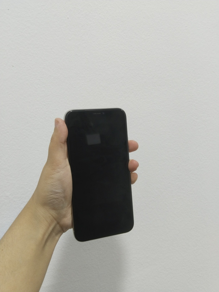 iPhone X sotiladi