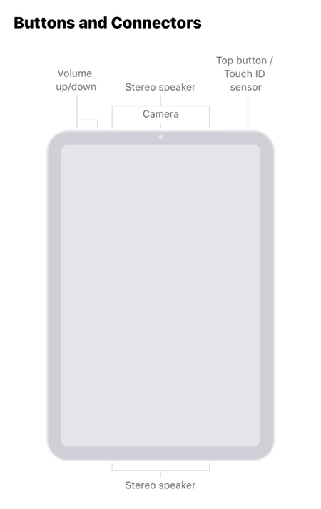 iPad mini 7  Intelligence