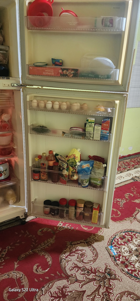 Продаю сваю халоденик