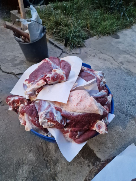 Qassob serviz sifatli buzish
