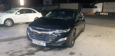 Malibu 2 Turbo premier xizmati. Toy va marosimlar uchun.