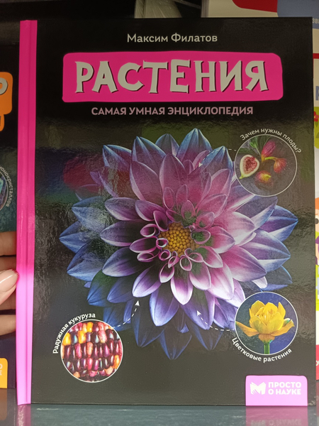 Энциклопедия для детей Феникс