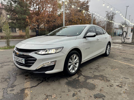 Arenda Malibu 2 premier