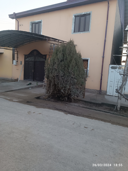 Naves, shapka , arka, oddiy , temir