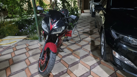 Kawasaki monster