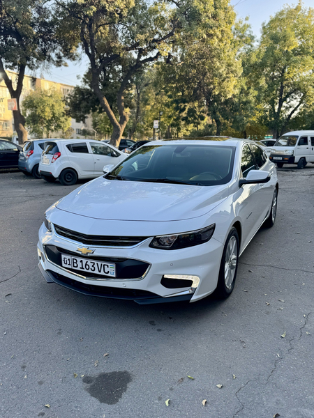 Arenda Malibu 2.4