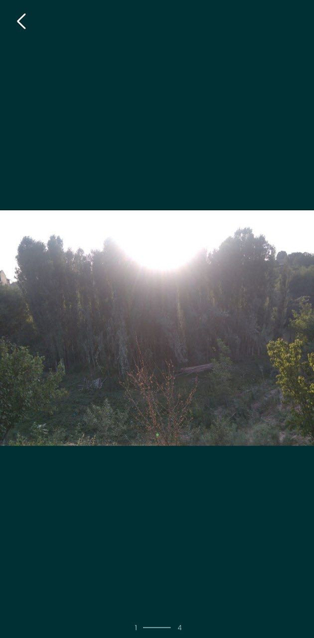 Янгийўл тумани, Нуробод маҳалла, уй-жой бор