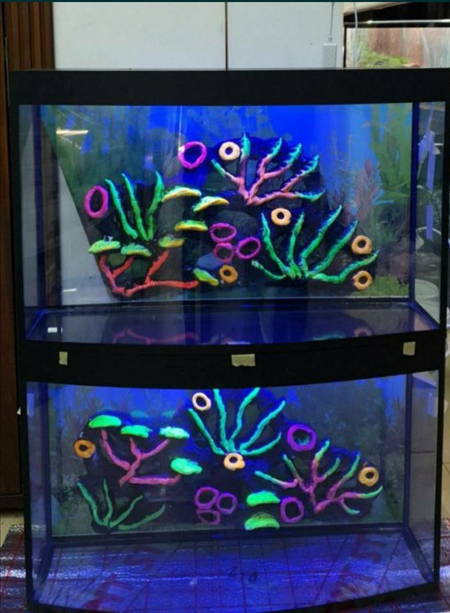 Akvarium Ovalniy