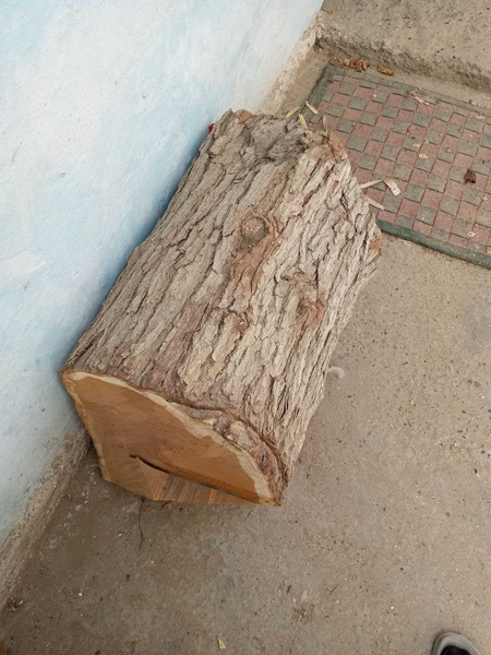 срочно продадим дрова