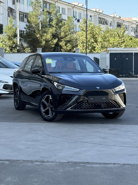 Byd song NETA L hybrid