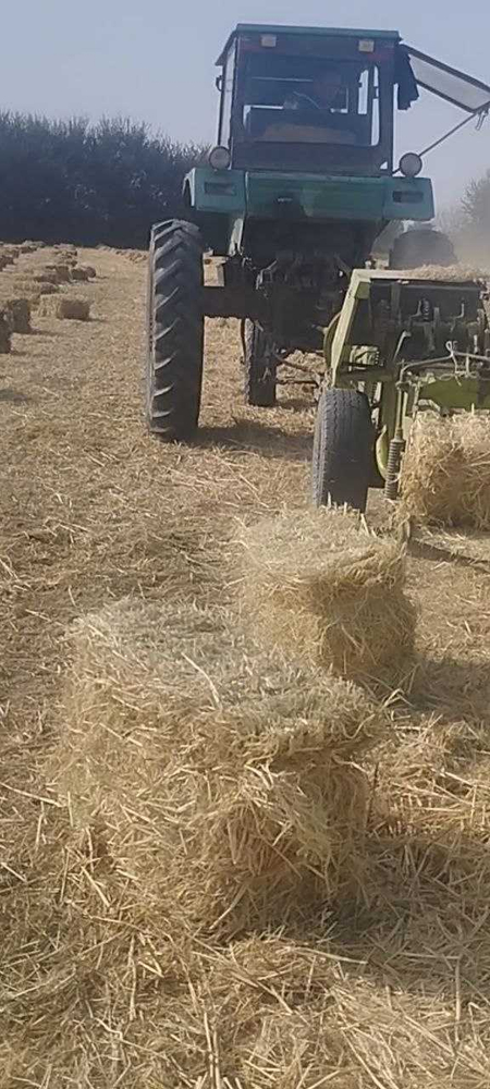 Pris padborchik marka 50 CLAAS
