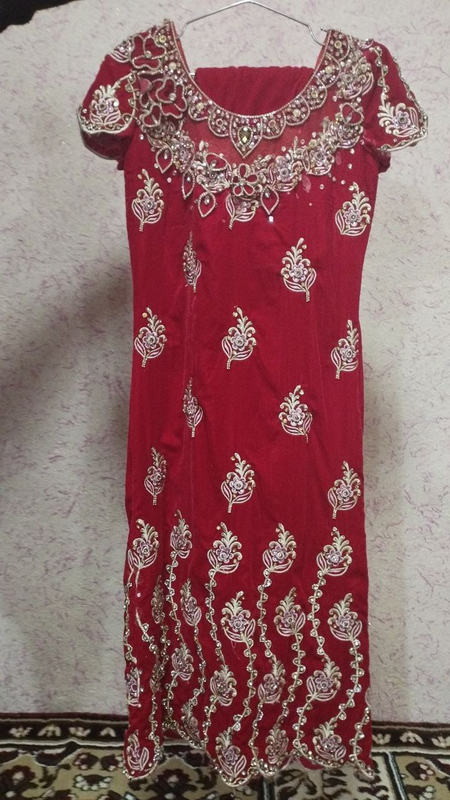 Ayollar koʻylagi