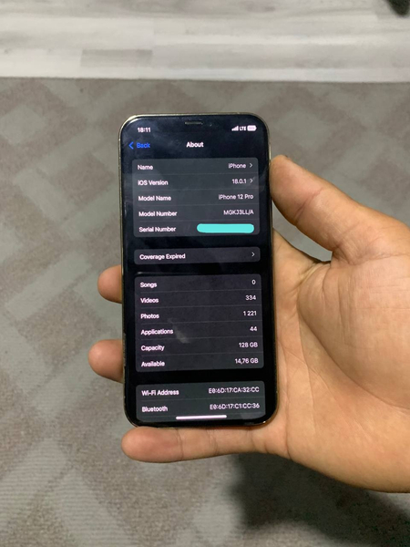 Iphone 12 pro gold