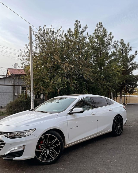 2022 Primer 2 turbo Nasiyaga