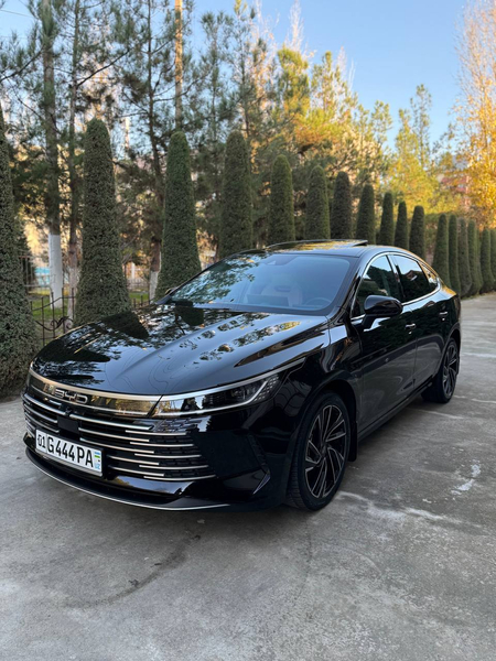 BYD Chazor Flagship Full. 120.