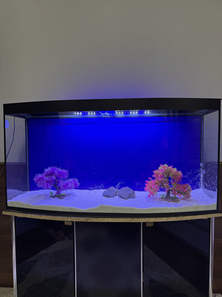 Akvarium sotiladi