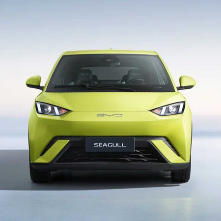 BYD SEAGULL электромобиль