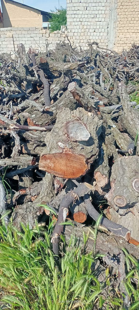 Quruq õtinlar sotladi
