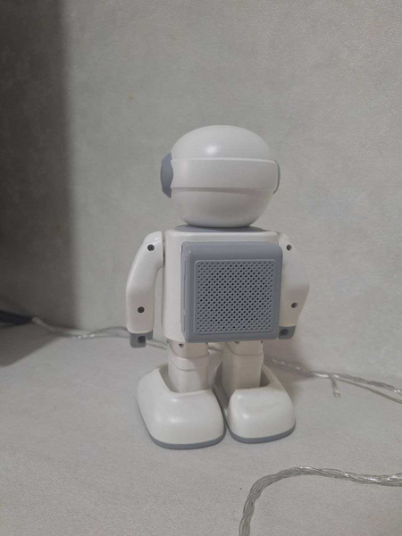 Танцующий робот Robert