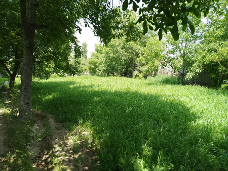 Rishton Beshkapa 8 sotixli yer sotiladi