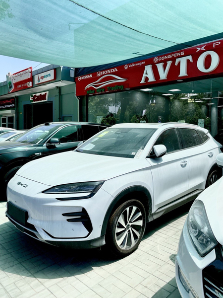 Byd song champion 605 full