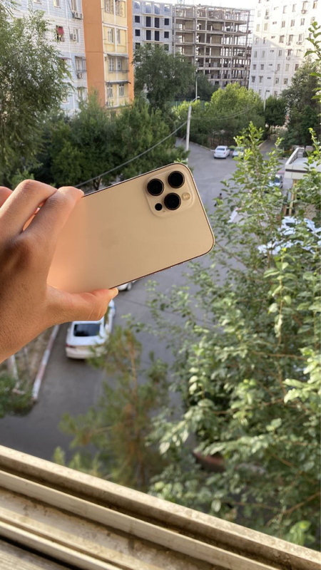 iPhone 12 Pro Max